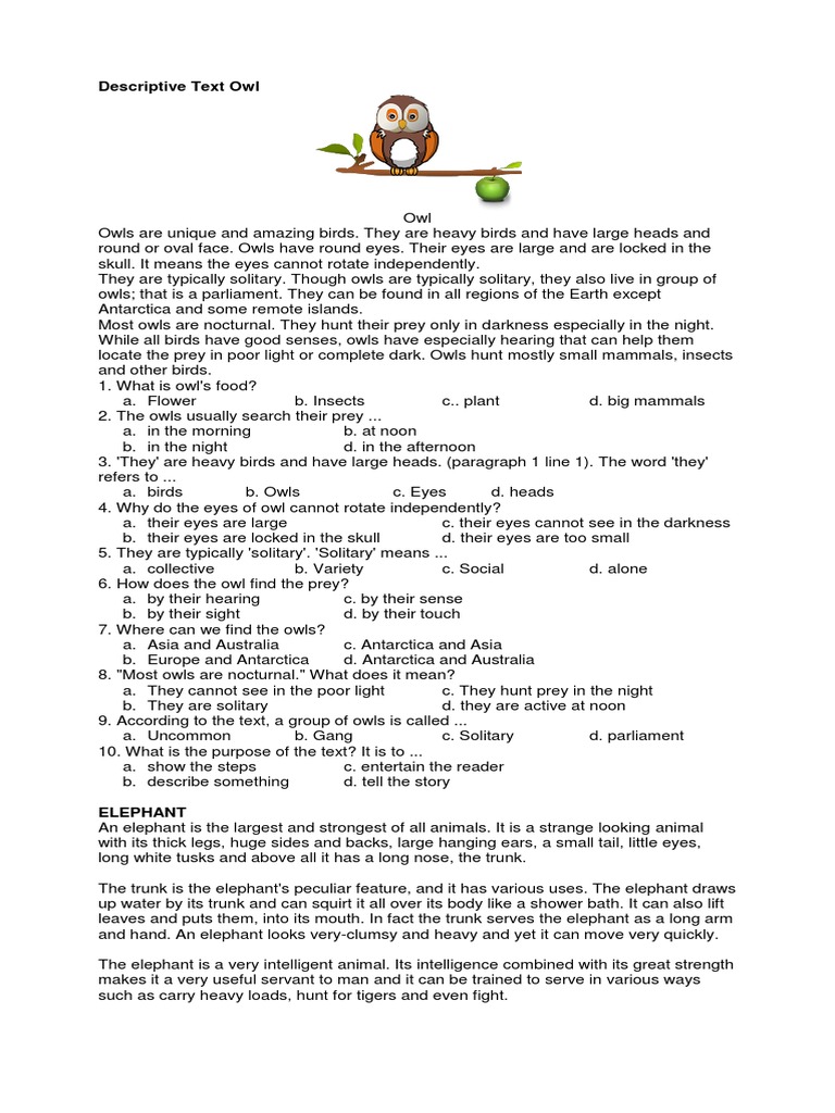 Descriptive Text Owl | PDF | Owl | Elephant