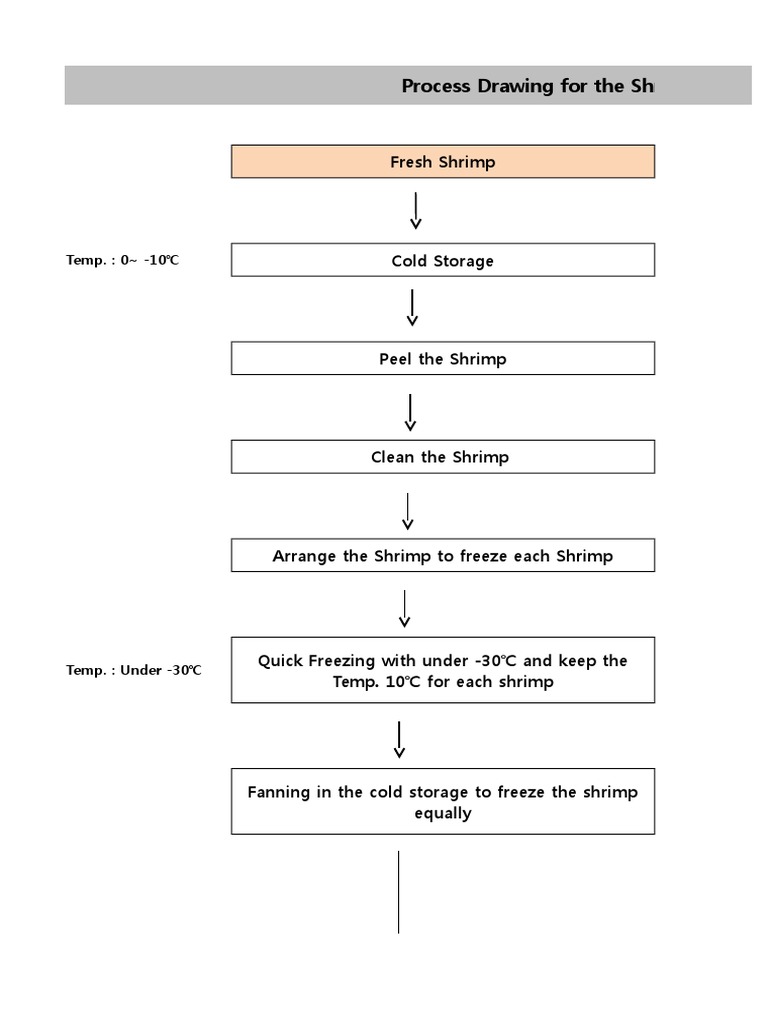 Process Drawing For The Shrimp | PDF