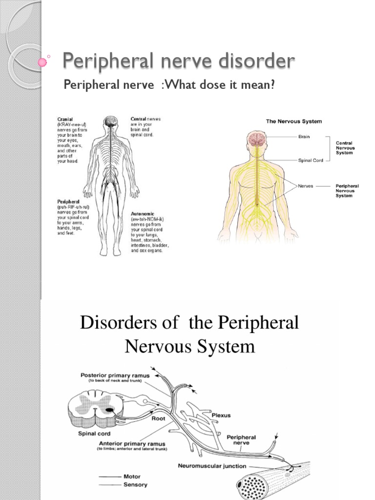 Peripheral Nerve Disorder | PDF | Peripheral Neuropathy | Clinical Medicine