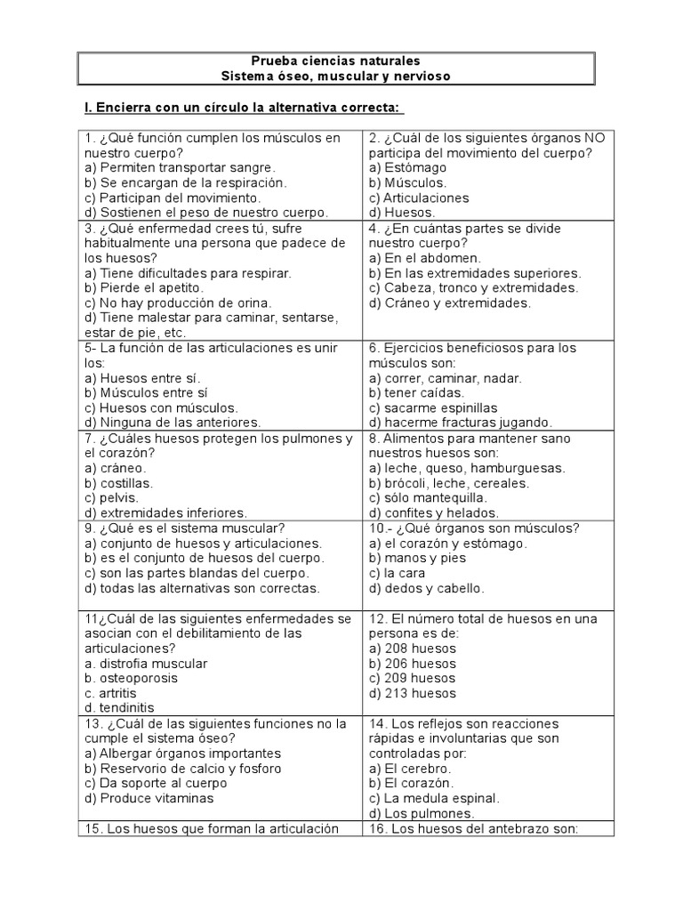 Prueba sobre sistemas óseo, muscular y nervioso | PDF | Sistema ...
