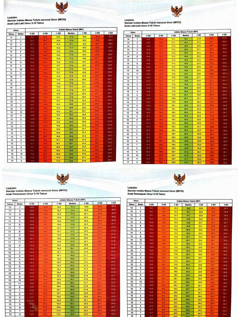 Imt Chart | PDF