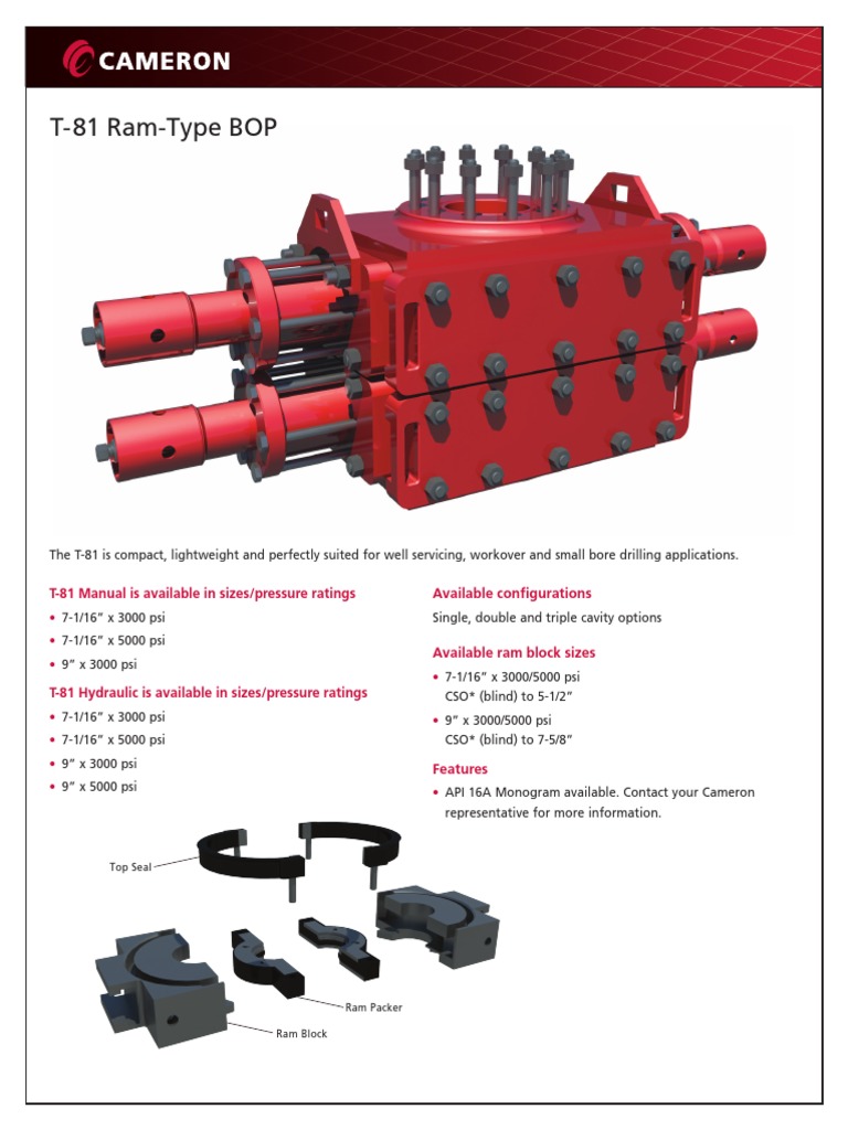 T 81 Bop Technical Data Sheet | PDF | Volume | Chemical Engineering