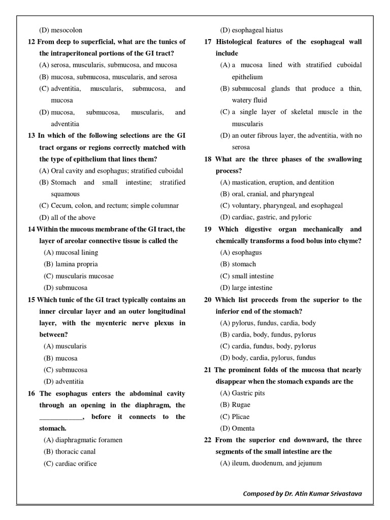 Digestive System PART 2 | PDF | Stomach | Gastrointestinal Tract