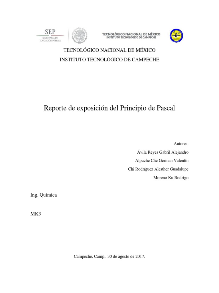 Principio de Pascal | PDF | Presión | Pistón