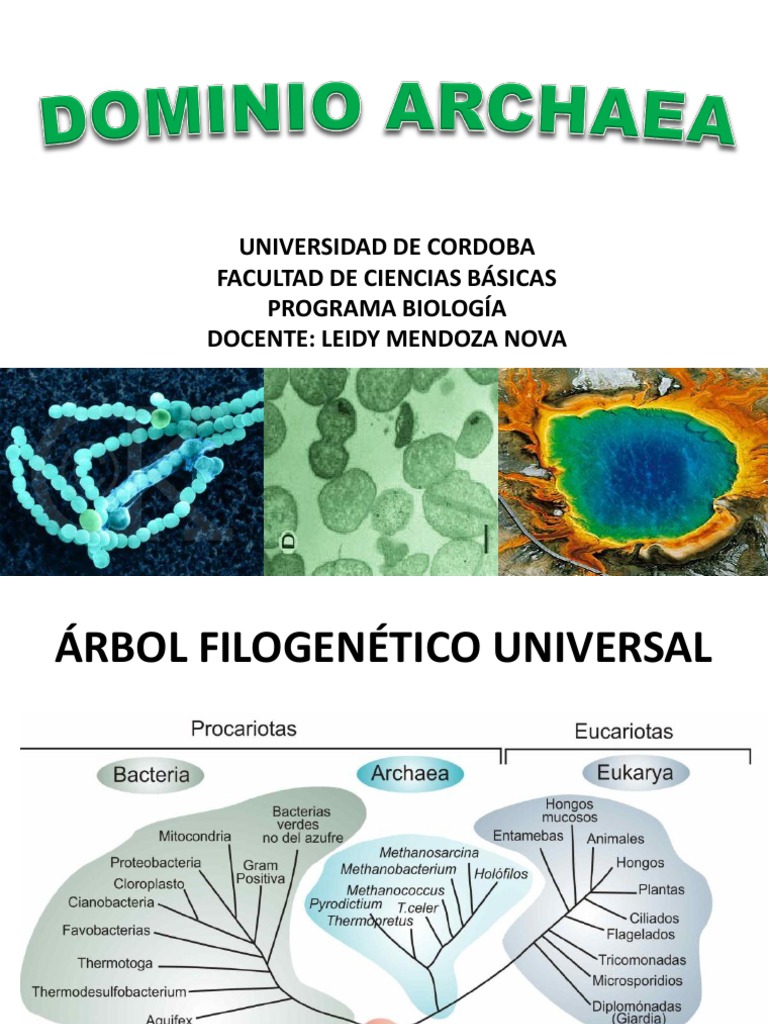 Dominio Archaea (1) | Archaea (Arqueas) | Química