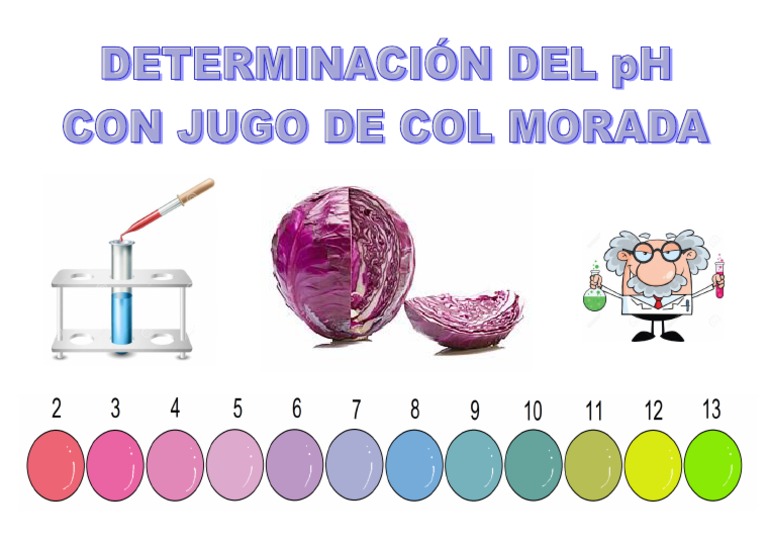COL-MORADA-TABLA (1).pdf