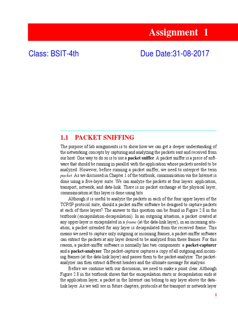 BSIT Packet Sniffing Assignment | PDF | Network Packet | Computer Network