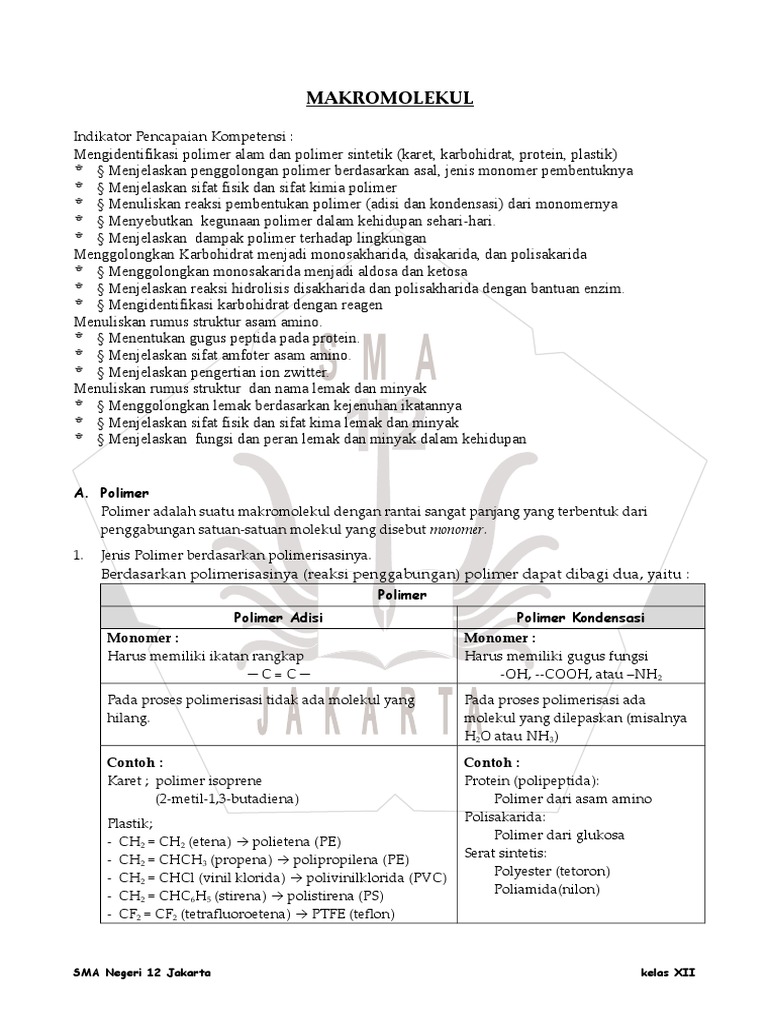 MAKROMOLEKUL | PDF