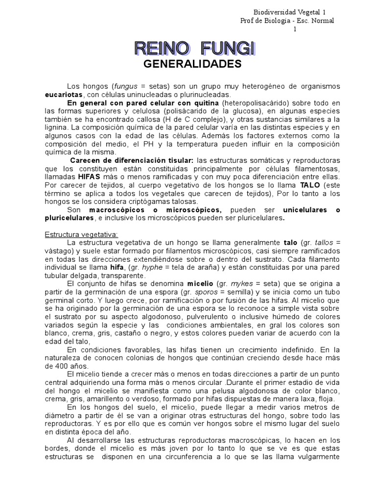 Dossier Reino Fungi2 | PDF | Espora | Hongo