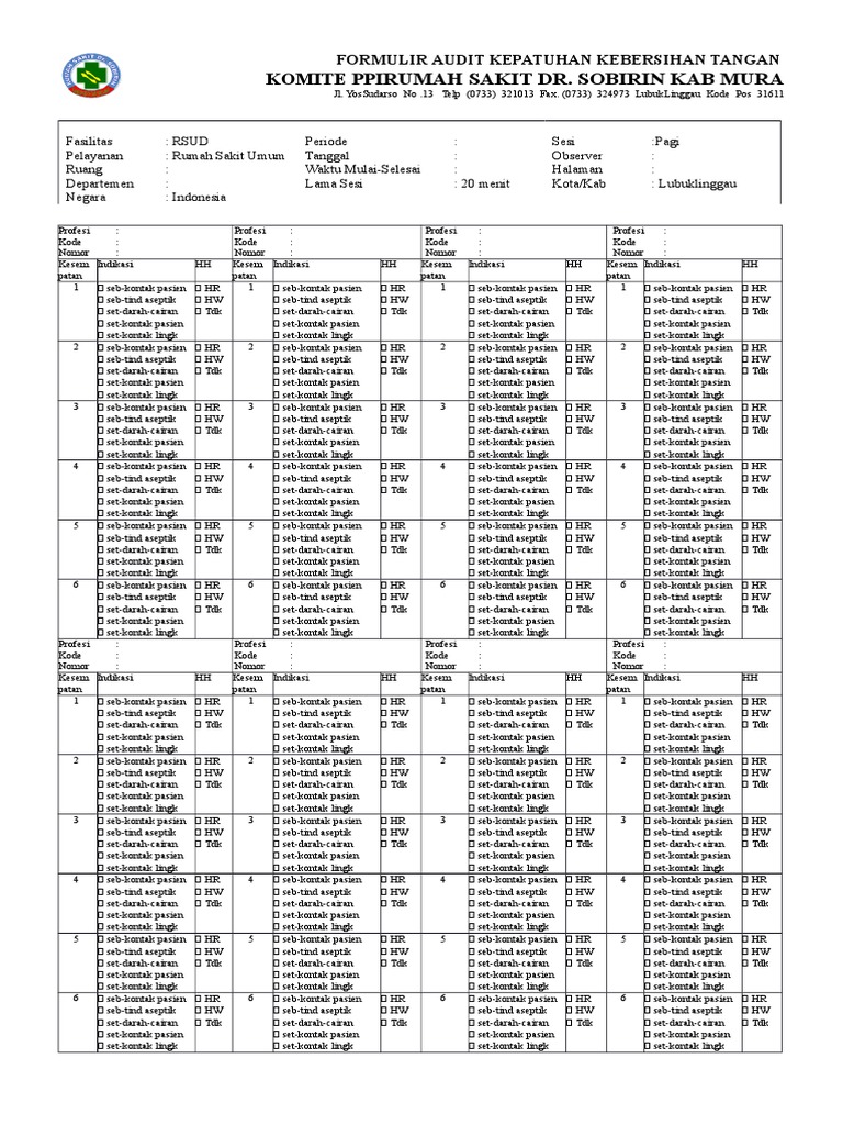 Form AUDIT Ppi | PDF