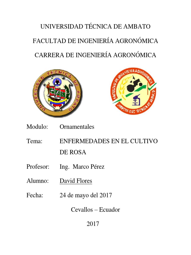 Fin Peronospora Destructor y Botrytis | PDF | Plantas | Science