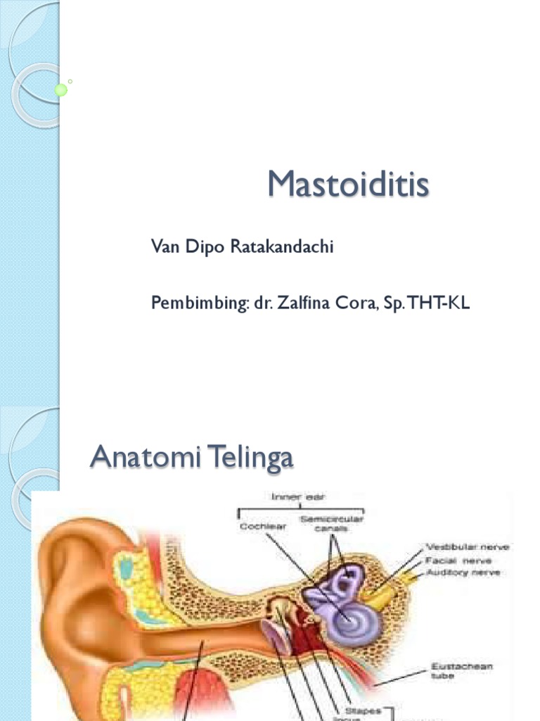 Mastoiditis: Infeksi Tulang Mastoid Akibat Otitis Media | PDF