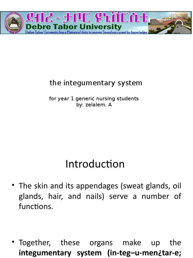 The Integumentary System: For Year 1 Generic Nursing Students By ...
