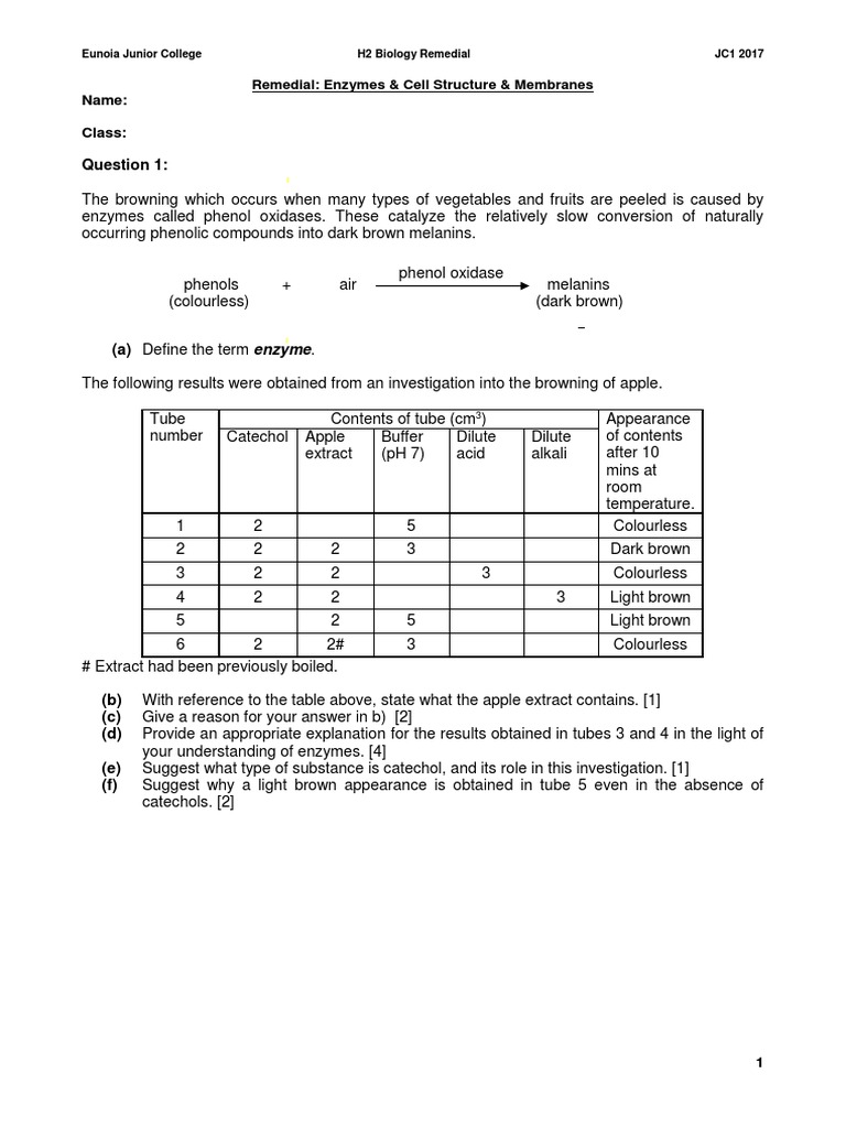 Remedial Worksheet Enzymes Cell Structure & Membranes | PDF | Cell ...