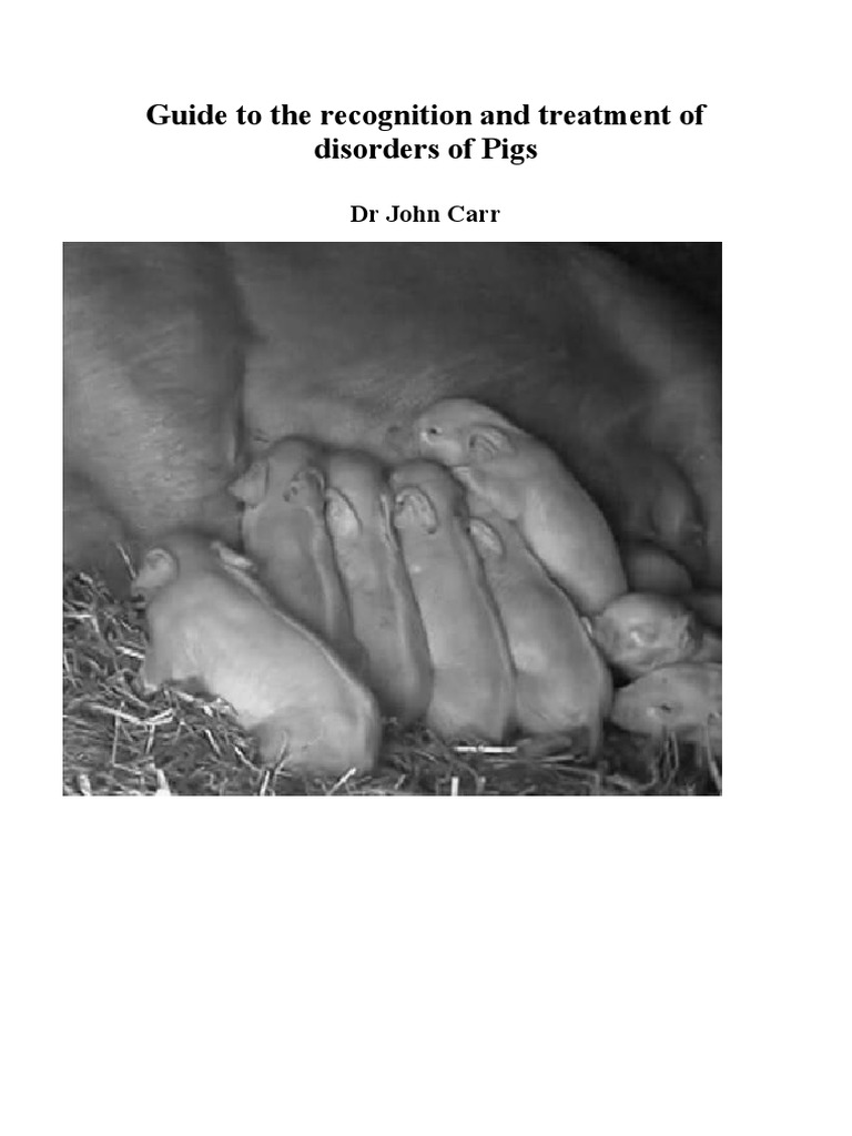 Diagnosis and Treatment of The Disorders of Pigs | PDF | Pig | Wild Boar