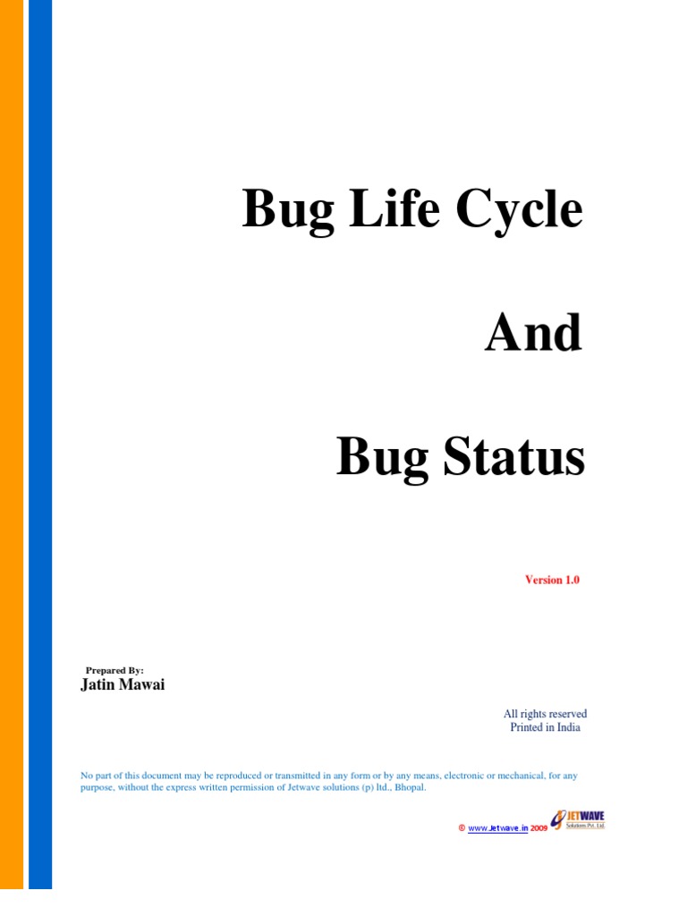 Bugs Taus | PDF | Software Bug | Software