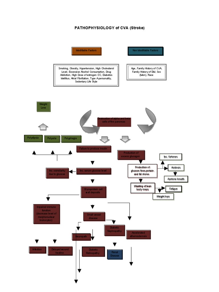 Pathophysiology of CVA | PDF | Stroke | Diabetes Mellitus