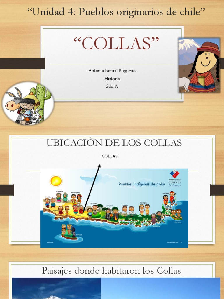 Cultura y vida de los Collas en Chile | PDF | Salud y bienestar