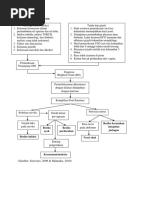 Pathway Blighted Ovum | PDF