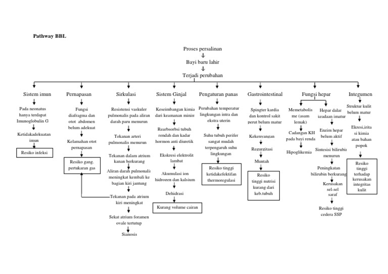 Pathway BBL Yaser | PDF