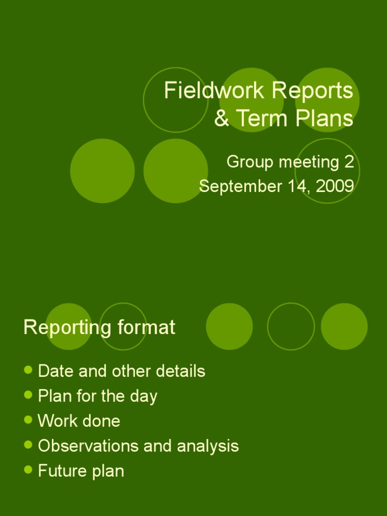 Fieldwork Reporting | PDF