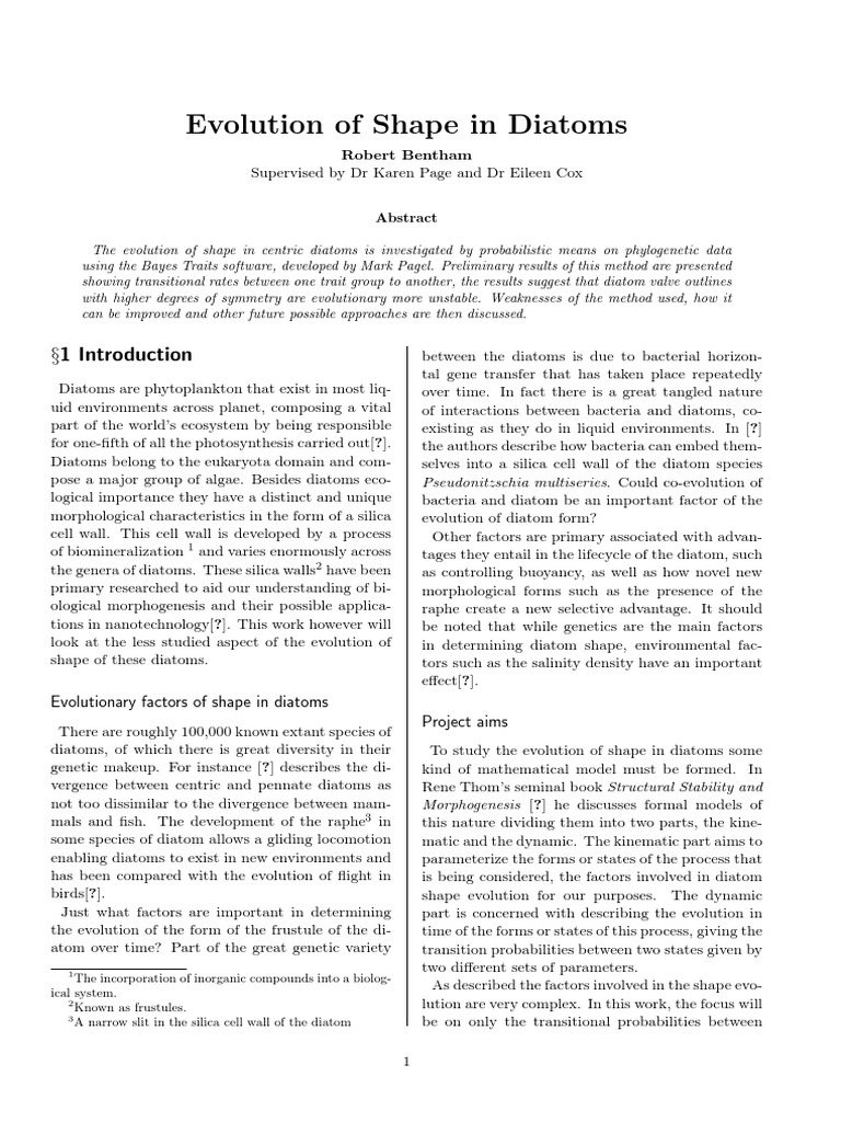 Evolution of Shape in Diatoms | PDF | Phylogenetic Tree | Markov Chain