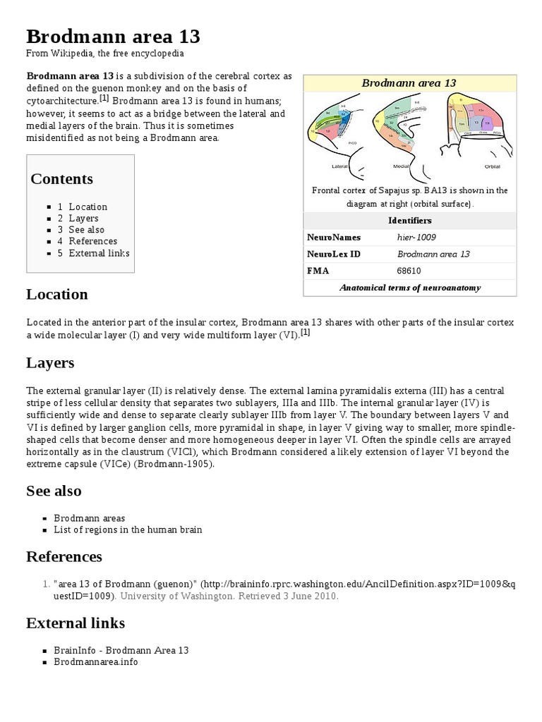 Brodmann Area 13 | PDF | Central Nervous System | Human Anatomy