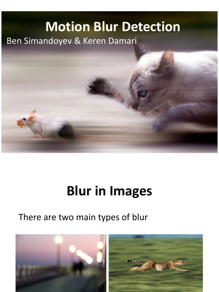 Motion Blur Detection | PDF | Computer Vision | Artificial Intelligence Motion Blur Detection | PDF | Computer Vision | Artificial Intelligence