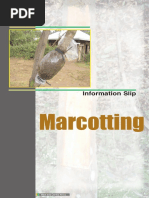 Marcotting A Simple Way To Propagate Plants | PDF | Horticulture | Botany