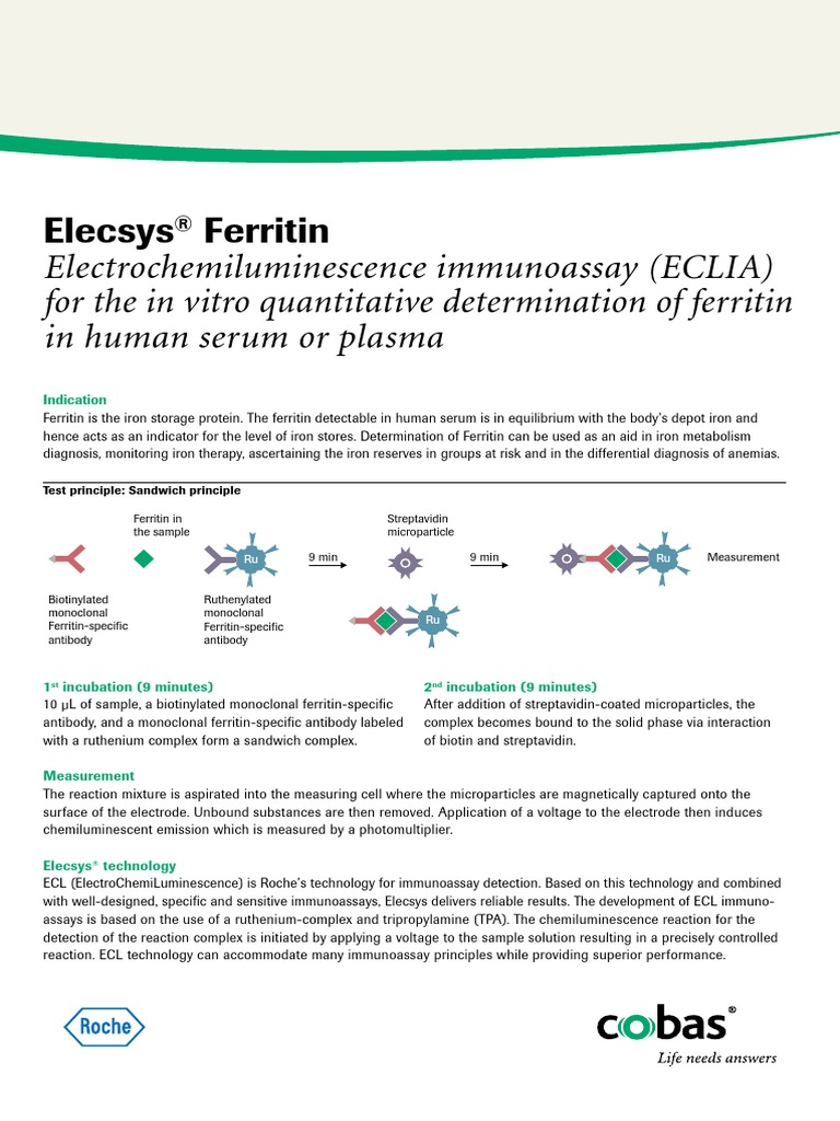 De Anemia Factsheet Ferritin | PDF | Immunoassay | Laboratory Techniques