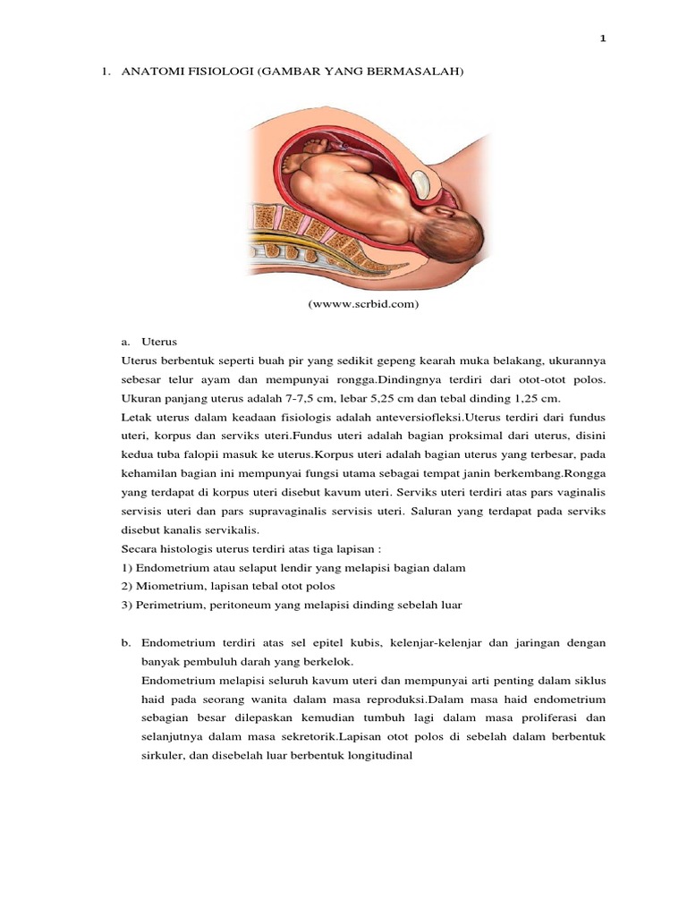 Laporan Pendahuluan Persalinan Normal | PDF