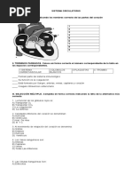 Tansiloprost Duo: Usos y Efectos Secundarios | PDF | Drogas | Farmacología