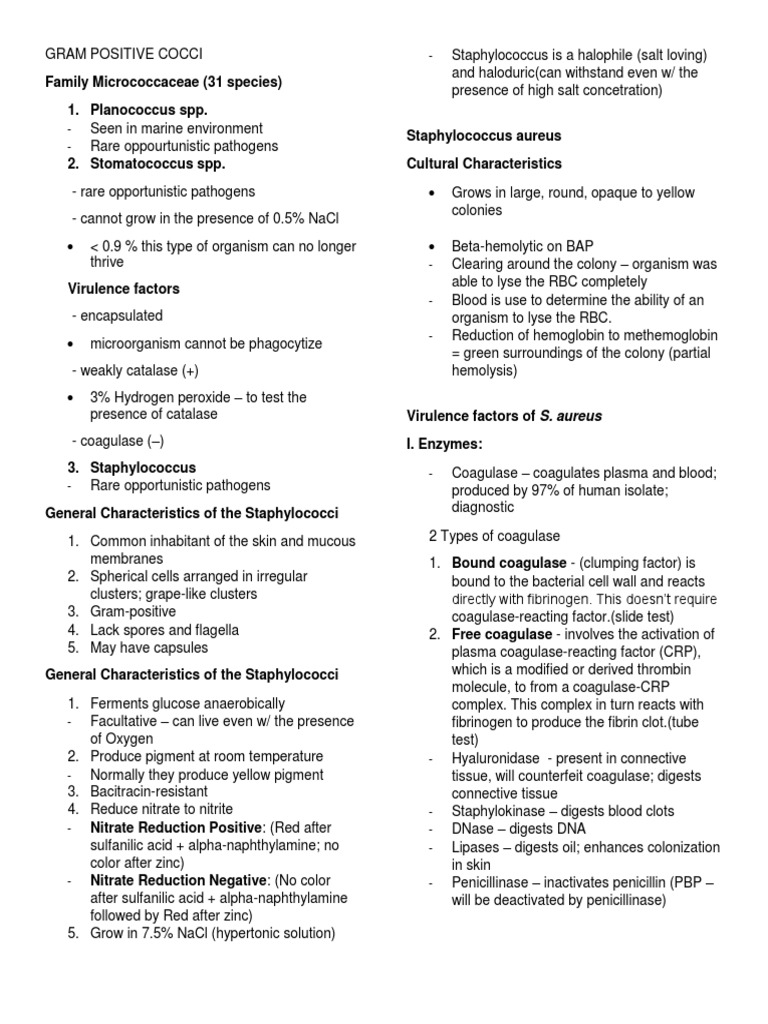 Gram Positive Cocci Reviewer 1 | PDF | Streptococcus | Staphylococcus