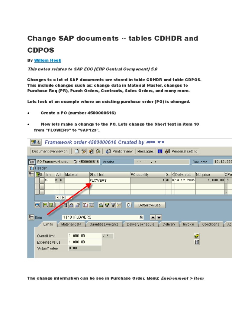 Change SAP documents.docx