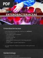 Biochemical Tests in Enterobacteriaceae | PDF | Chemical Compounds ...