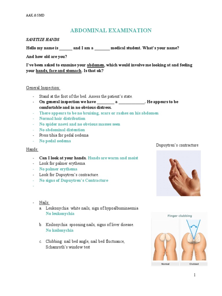 1. Abdominal Exam | Abdomen | Medical Specialties