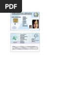 Ejemplo de Dpi Formato para Hacer | PDF