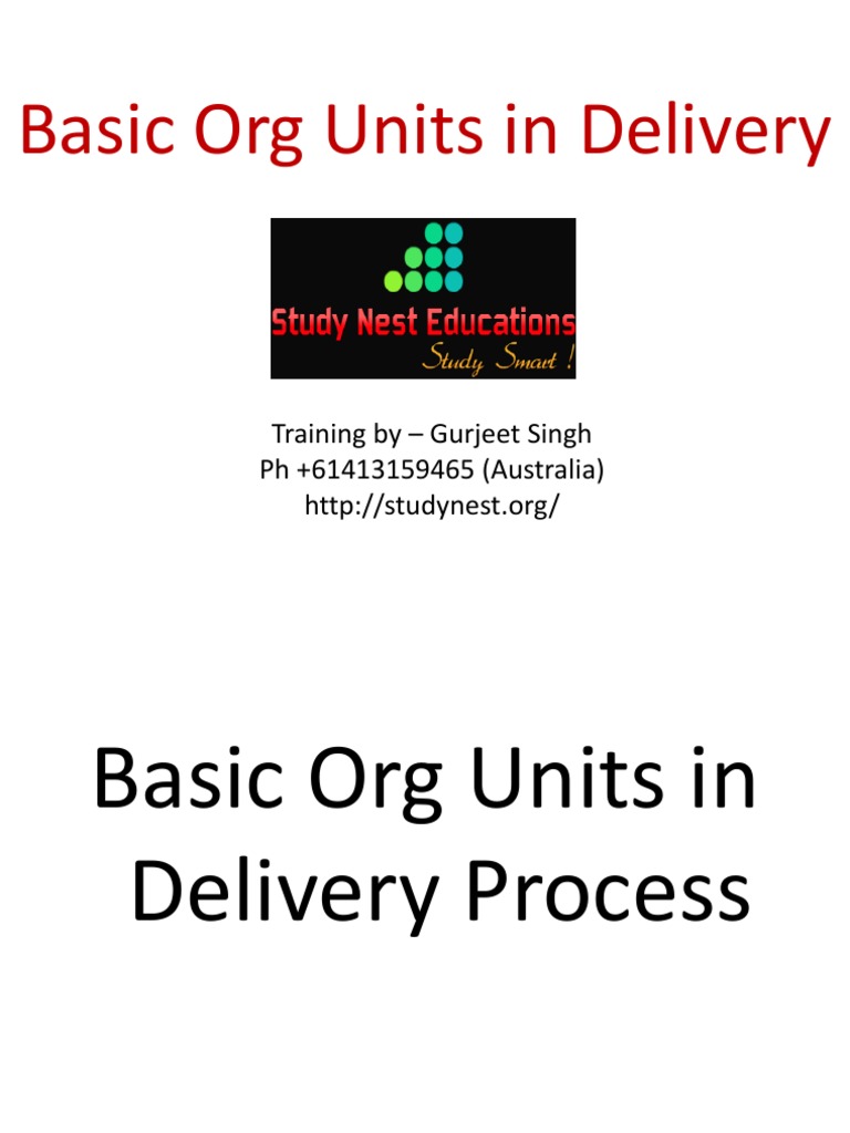 20 Basic Org Units in Delivery Process | PDF | Business