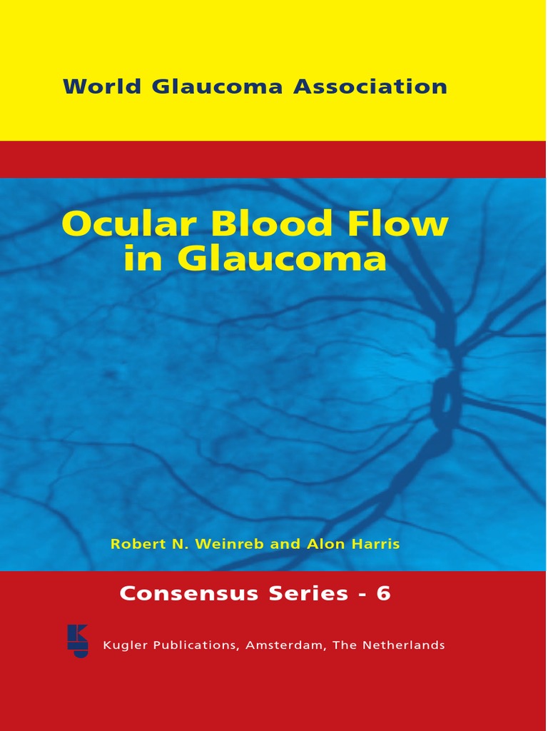 WGA6-Ocular Blood Flow in Glaucoma | Retina | Capillary