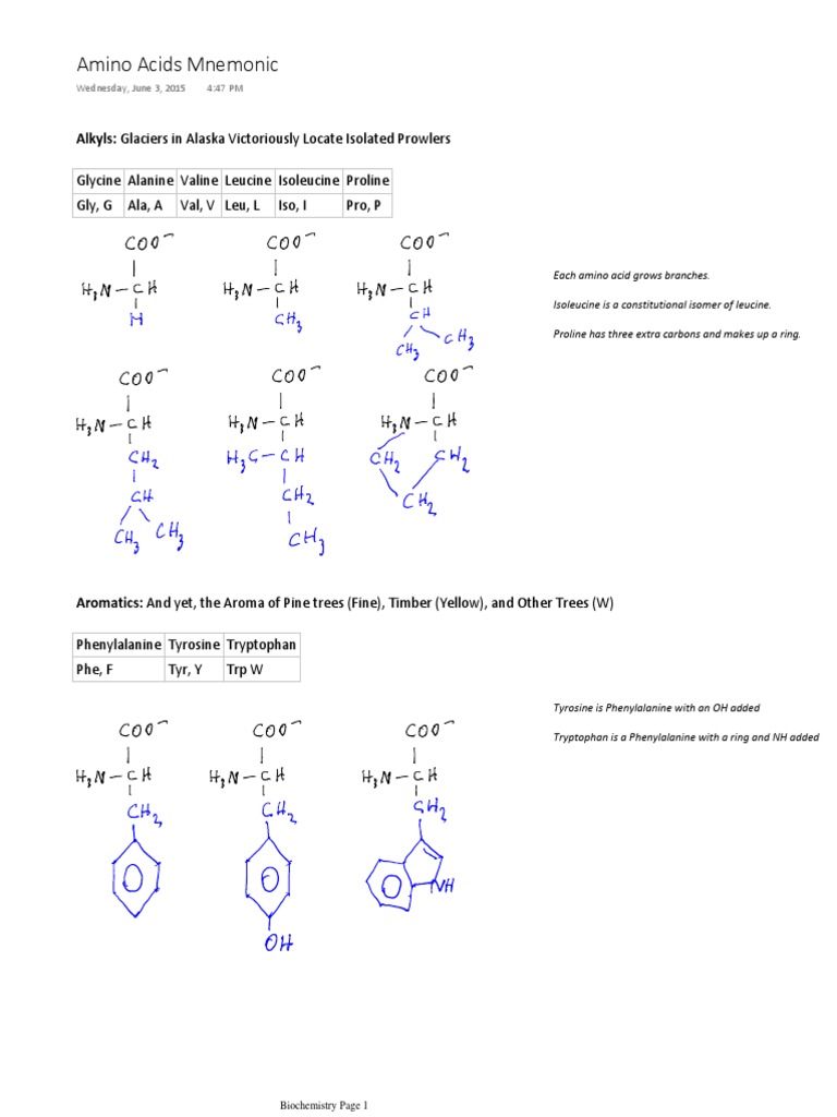 Amino Acids Mnemonic | PDF | Amino Acid | Methionine