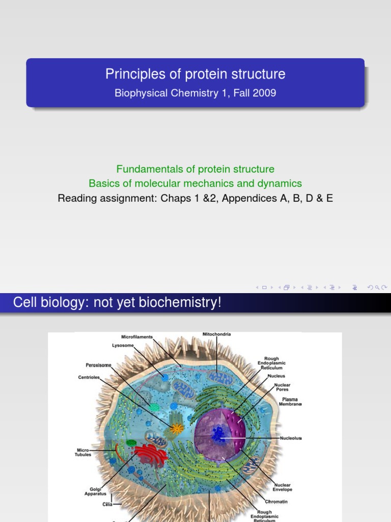 Principles of Protein Structure: Biophysical Chemistry 1, Fall 2009 ...