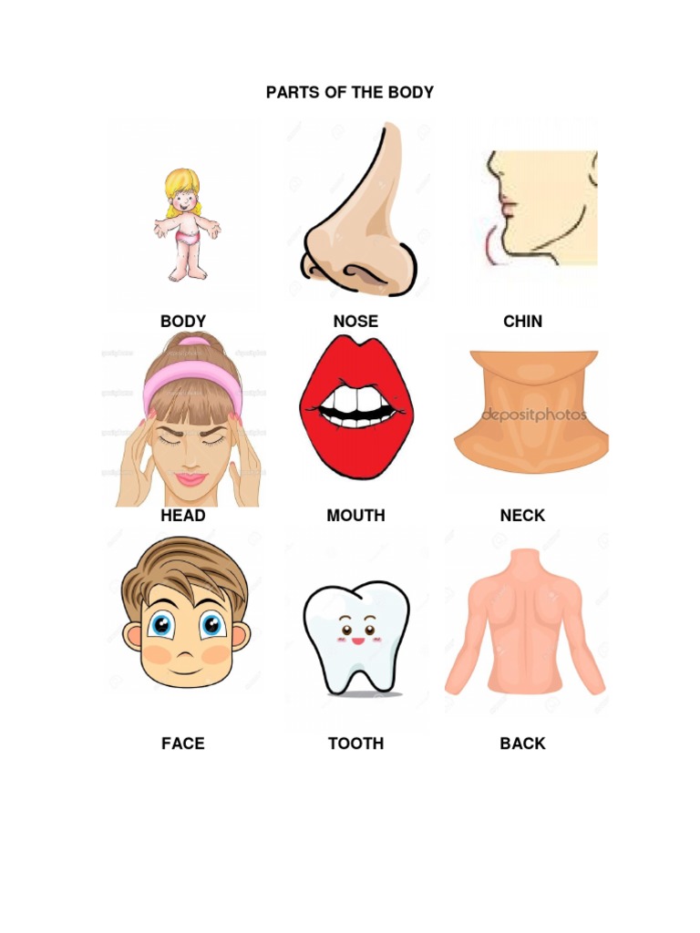 Human Body Parts Name Guide | PDF