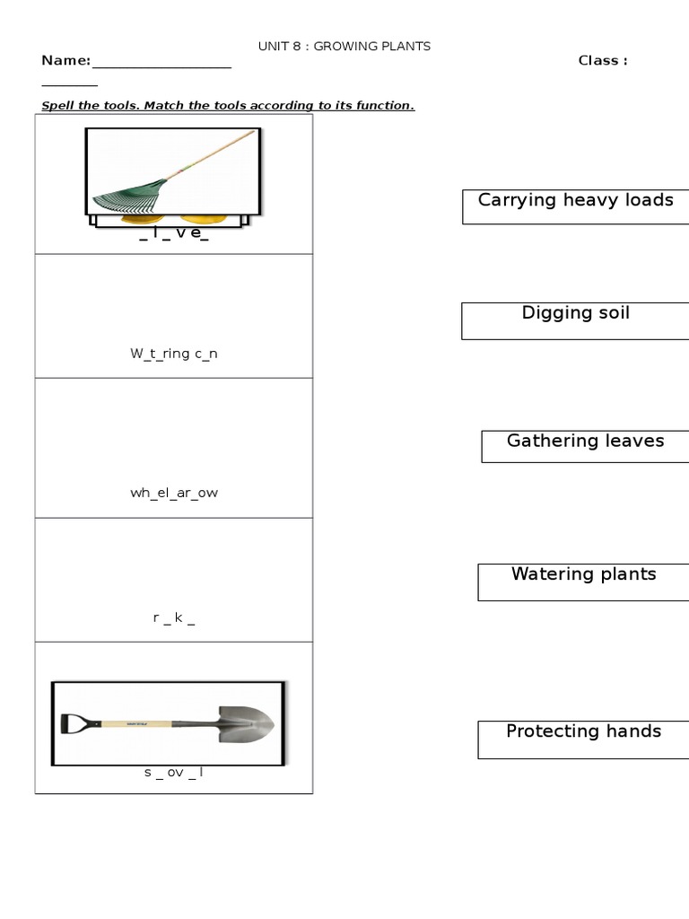 Growing Plants Worksheet Activities | PDF