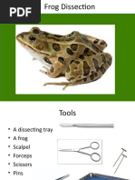 Anatomical Planes and Frogs External Parts | PDF | Anatomical Terms Of ...