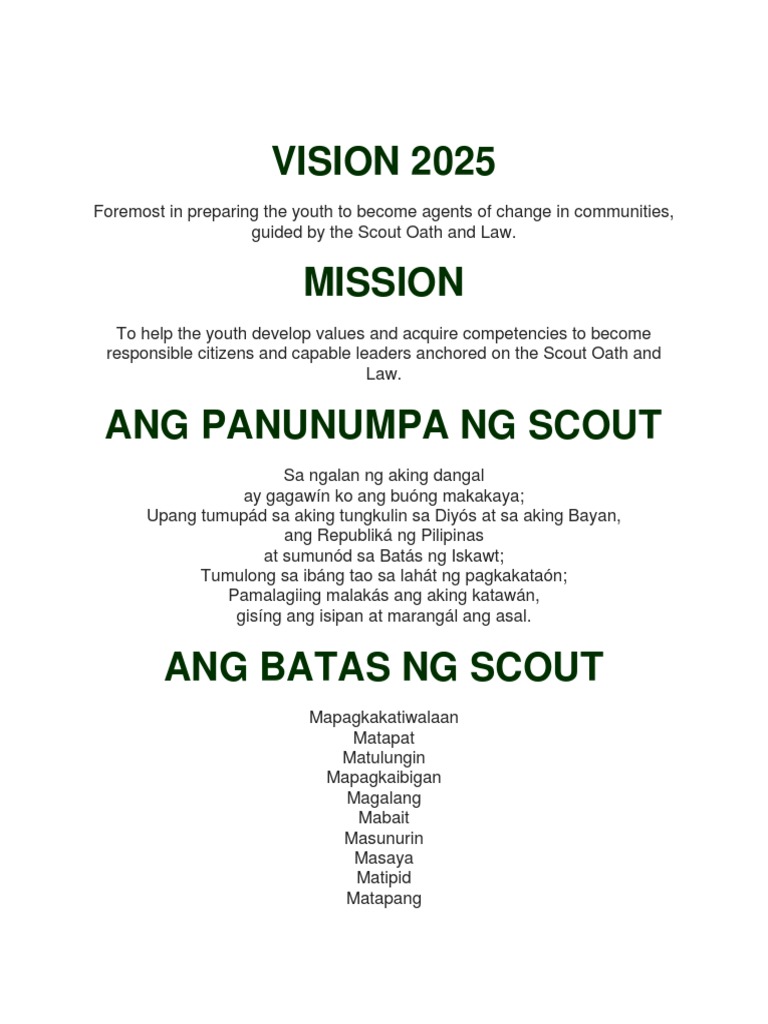 Vision 2025 | PDF | Scouting | Youth Movements