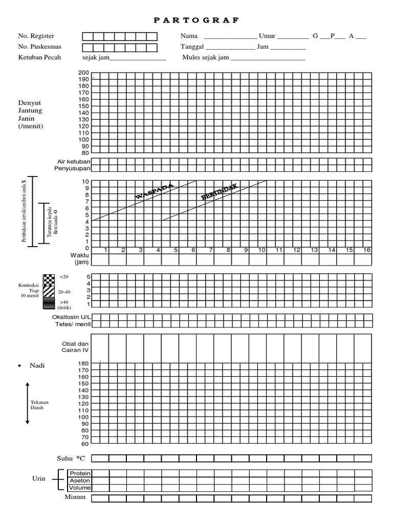 Format PARTOGRAF | PDF