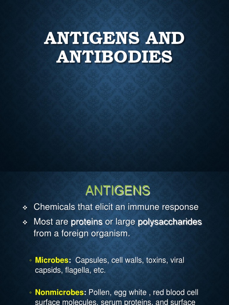 Antigen and Antibody Notes | PDF | Antibody | Antigen