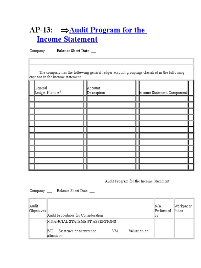 Income Statement Program | PDF | Audit | Accounts Payable