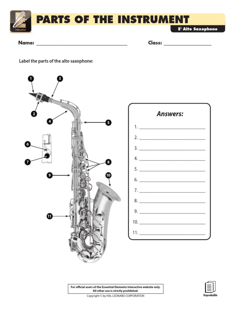 Parts of The Instrument: Answers | PDF