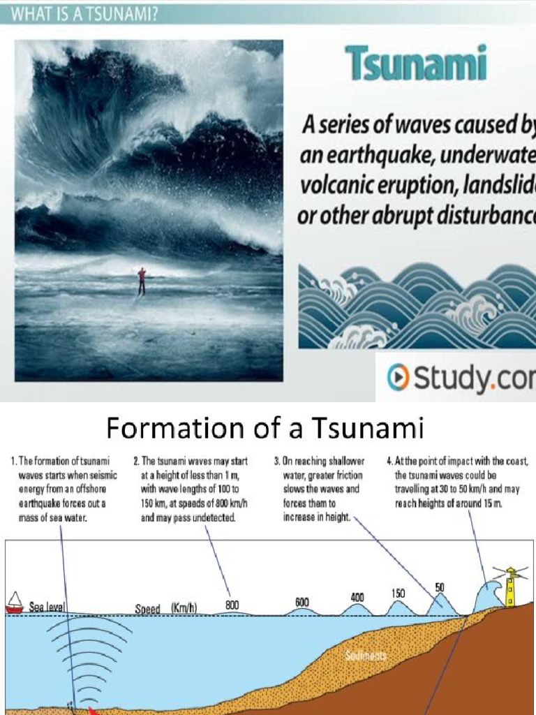 Disaster Management PPT 2 | PDF | Tsunami | Nuclear Weapons